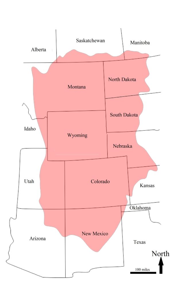 Patterns in Palaeontology: The Real Jurassic Park – PALAEONTOLOGY[online]