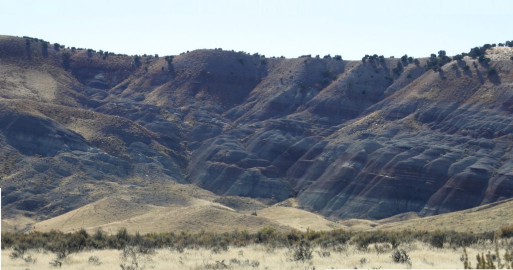 Patterns in Palaeontology: The Real Jurassic Park – PALAEONTOLOGY[online]