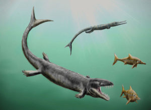Fossil Focus: Mesozoic crocodyliforms – PALAEONTOLOGY[online]