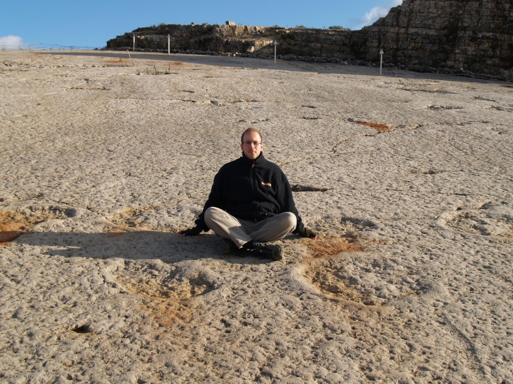 Fossil Focus: Vertebrate tracks and trackways – PALAEONTOLOGY[online]