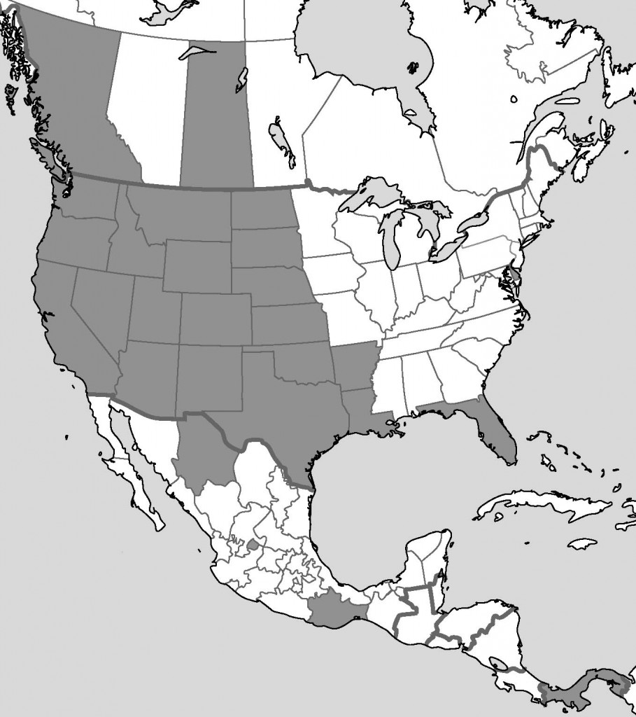 Fossil Focus: Oreodonts – PALAEONTOLOGY[online]